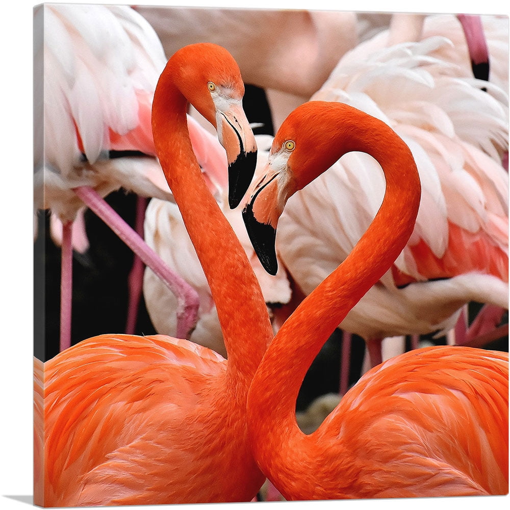ARTCANVAS Flamingos Home Decor Square Canvas Art Print - Size: 26" x 26 ...