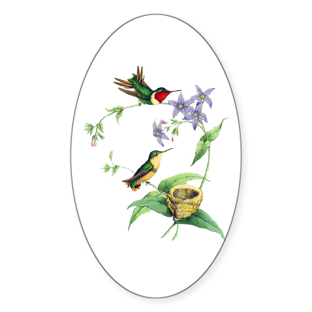 CafePress - Hummingbirds - Sticker (Oval) - Walmart.com