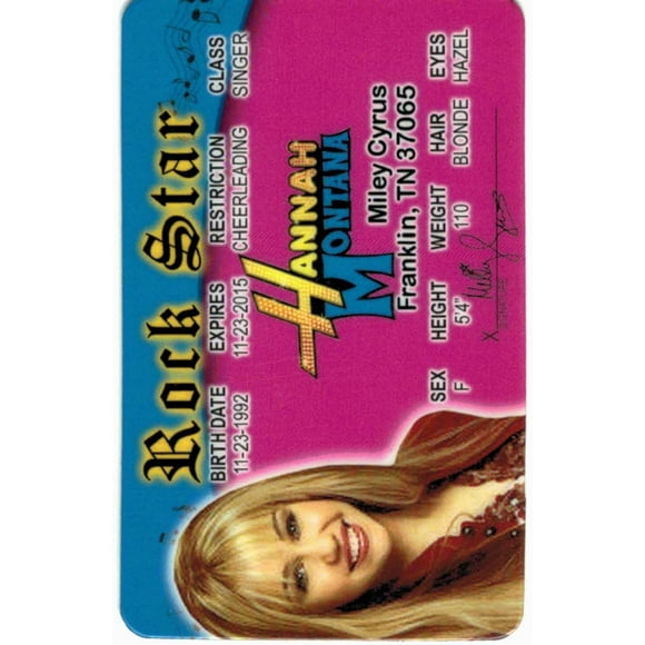 Hannah Montana Costume