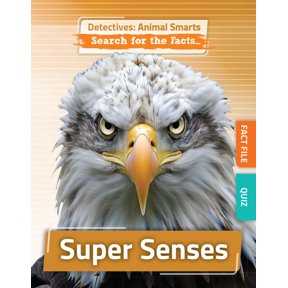 Zooborns ABC Zooborns!, (Paperback) - Walmart.com