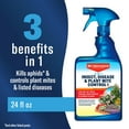 BioAdvanced, 3-In-1 Insect, Disease and Mite Control, 24 oz - Walmart.com
