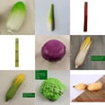 Simulation PU Fake Vegetable Green Food Model Harvest Decor Photography ...