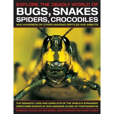 Bug Lab for Kids: Family-Friendly Activities for Exploring the Amazing World of Beetles ...