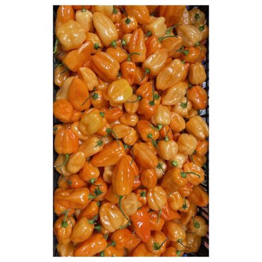 Korean Coarse Red Chili Pepper Powder (5 pound) - Walmart.com