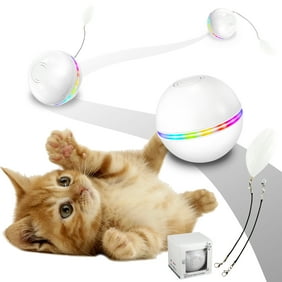 Coastal® Turbo® Foam Dragonfly Fun Cat Toy 4 Inch - Walmart.com