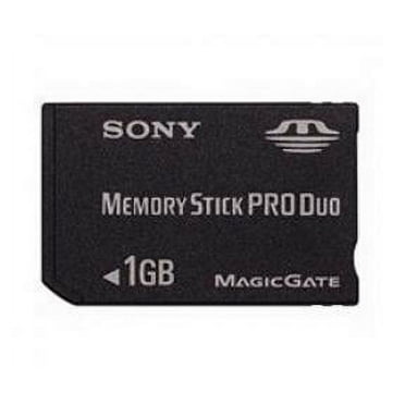 Sony 1GB Compact Memory Stick PRO Duo Card for Camera Storage and ...