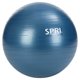 SPRI Weighted Stability Exercise Ball, 55cm, Blue - Walmart.com