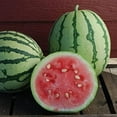 30 Seeds Garden Melon Mix - Easy to Grow Melons, Full of Flavor and Fun ...