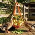 5pcs Chicken Vegetable Hanging Feeder, TSV Reusable Poultry String Bag ...