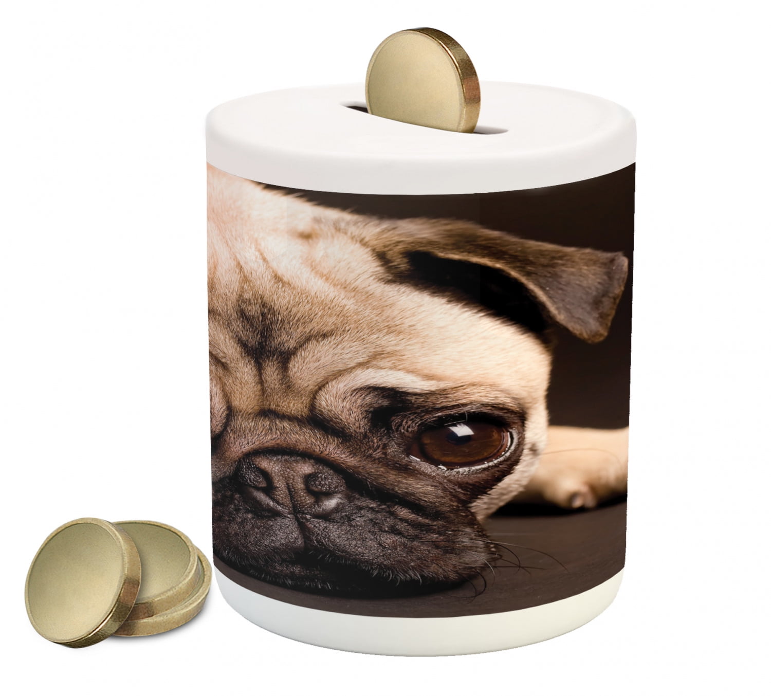 Pug Piggy Bank, Photograph of a Pet Its Little Paws Pure Bred Dog Image ...