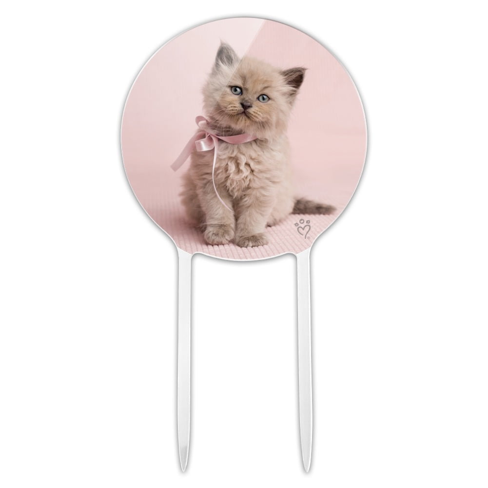 Acrylic Miradoll Ragdoll Cat Kitten Pink Ribbon Bow Cake Topper Party ...