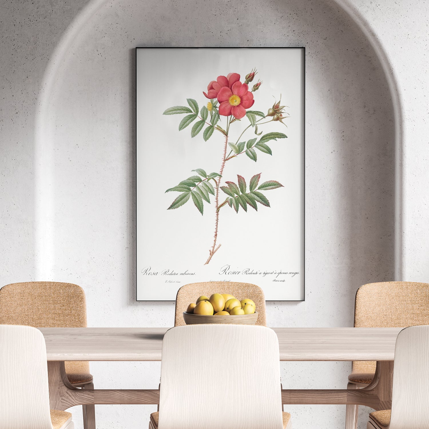 Red-Leaved Rose - 1817–1824 | Pierre-Joseph Redouté | Premium Fine Art ...