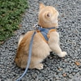 EcoNest Cat Harness Cat Soft And Breathable Vest Cat Leash Easy To Wear ...