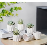 Better Homes & Gardens Pottery set of 6 3" Devi Round Ceramic Planters ...