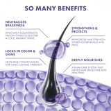 Alfheim Lavender+ Purple Shampoo & Conditioner Set 18oz*2 – Neutralizes ...