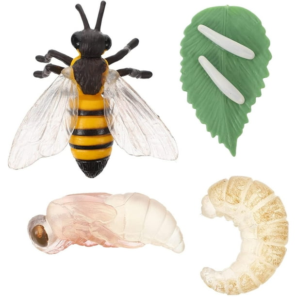 Life Cycle Figurines Insect Bee Growth Cycle Model Bee Life Cycle Model ...