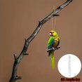 Adorable 2D Macaw Acrylic Auto Hanging Charm Artistic Macaw Inspired ...