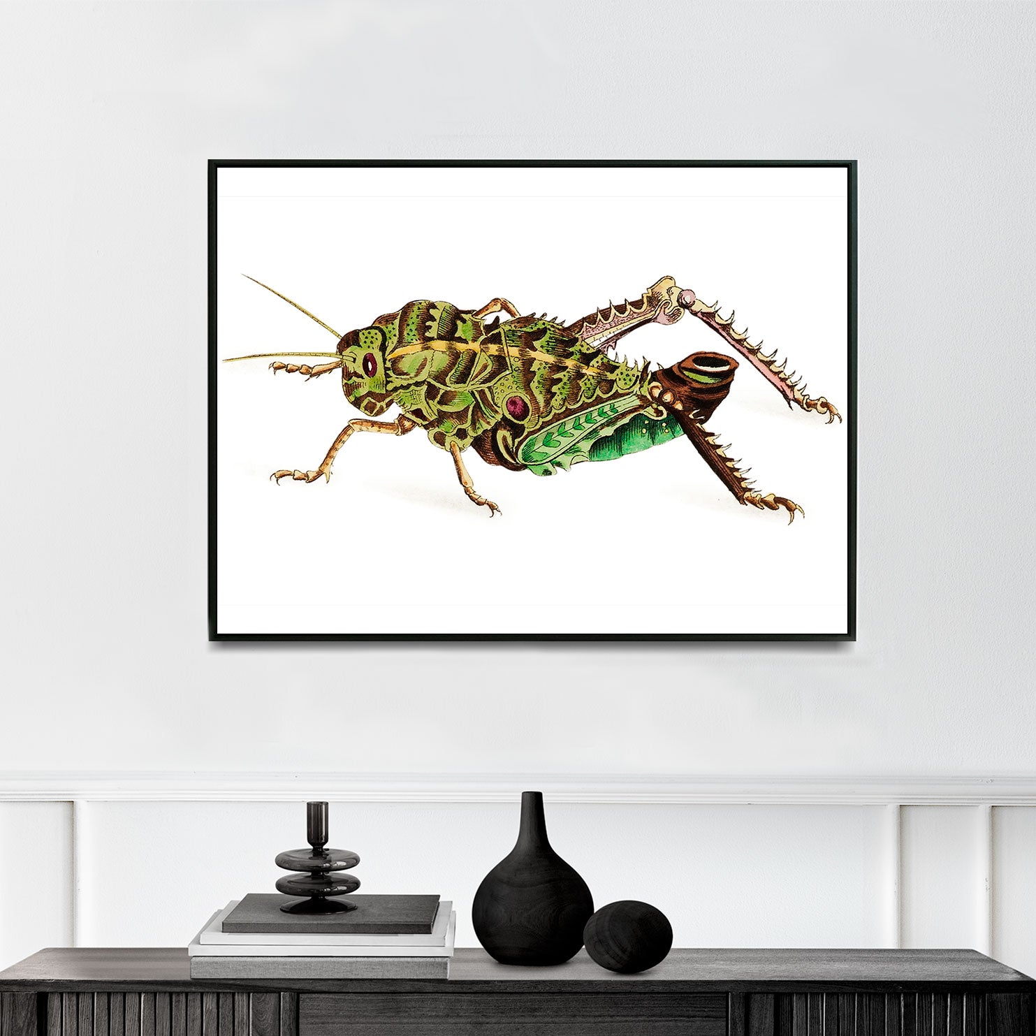 Elephant Locust Illustration - 1789-1813 | George Shaw | Premium Fine ...