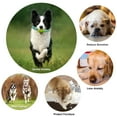 Aelflane Tough Dog Toys for Aggressive Chewers Large Breed ...