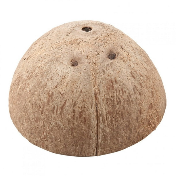 Reptile Hiding Cave, Aquarium Hide House Decor Reptile Coconut Cave ...