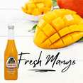 Mexican Refreshment Jarritos Mango Soda Tropical Flavor, Natural ...