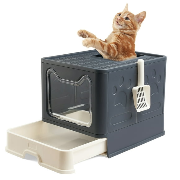 Low Entry Litter Box