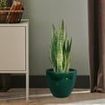 Sunnydaze Large Ceramic Plant Pot - Round Outdoor Glazed Ceramic ...