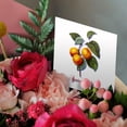 3drose, Apricot-peach, Botanical Print of Bright Yellow Fruits on a ...