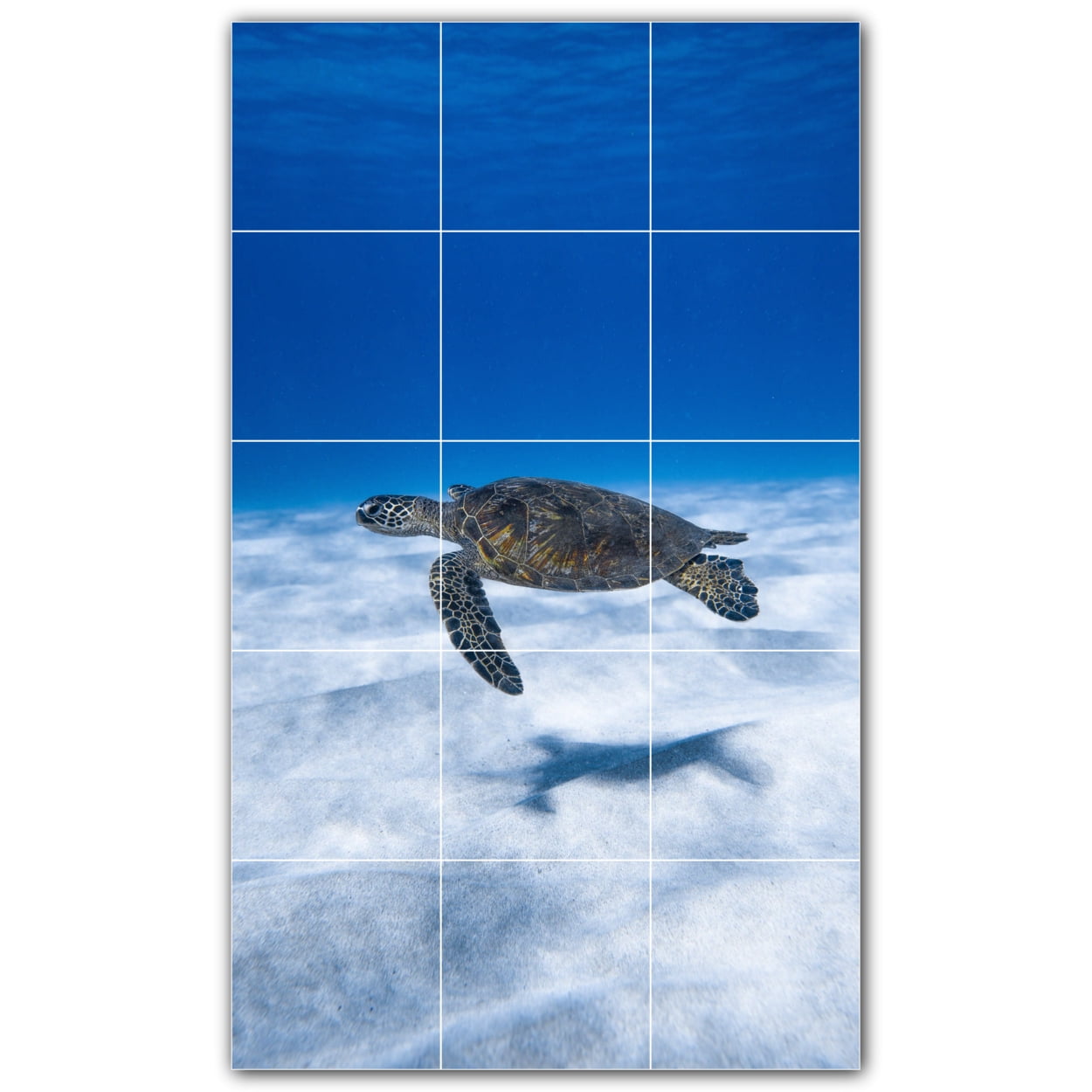 Picture-Tiles.com: Turtle Ceramic Tile Wall Mural WAL501064-35M. 18"W x ...