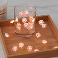 1pc LED Cat Paw Shaped Copper Wire String Lights - Perfect for Holiday ...