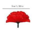HomelyJoy Artificial Carnation Flower Heads, Realistic Silk Fake ...