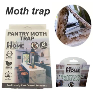 BugMD Pantry Moth Traps (6-Pack) – Pheromone-Based Sticky Glue Traps ...