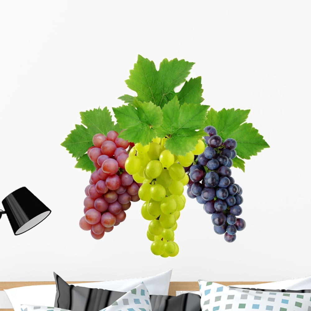 Three Various Grapes Wall Decal by Wallmonkeys Peel and Stick Graphic ...