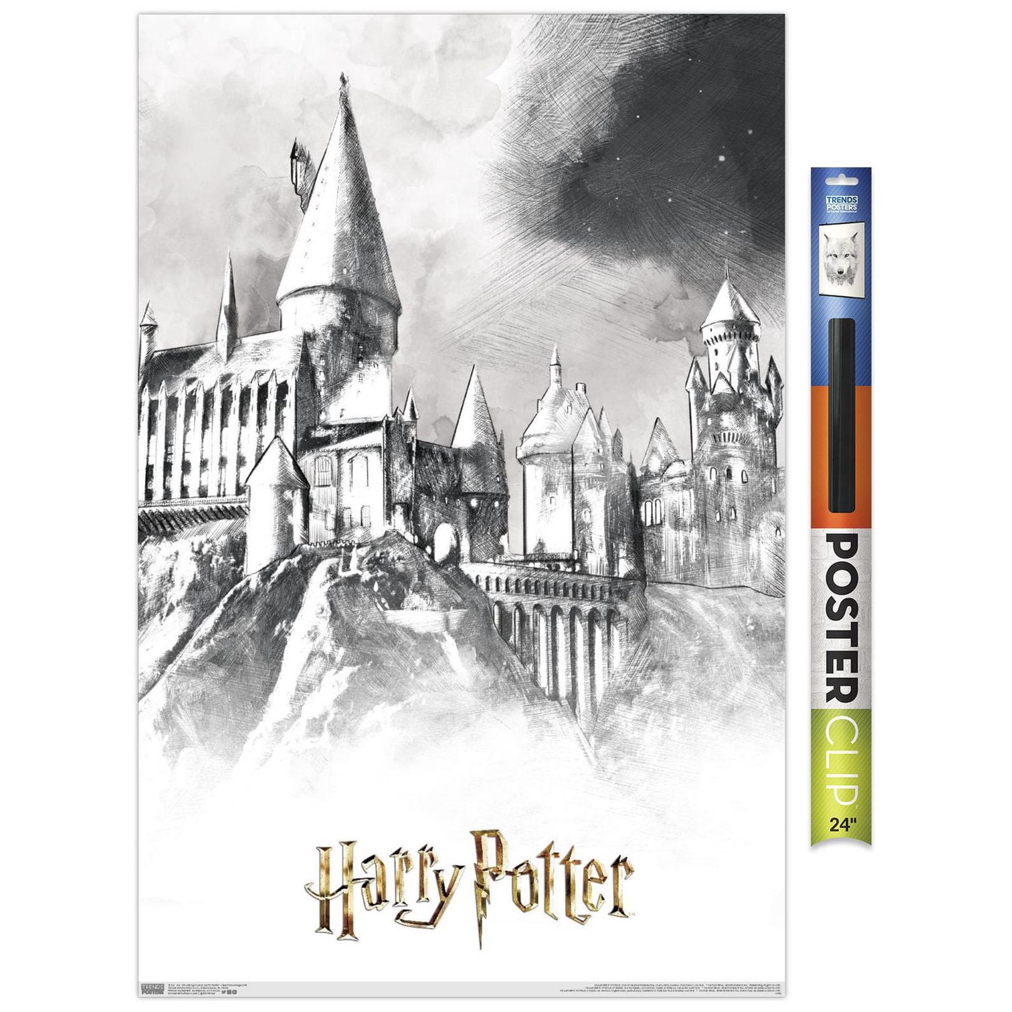 Click here for Trends International The Wizarding World: Harry Po... prices