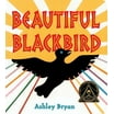 Alphabreaths : The ABCs of Mindful Breathing (Board book) - Walmart.com
