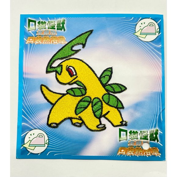 Pokemon Iron Patches