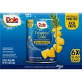 (6 Cans) Dole Gold Pineapple Chunks in 100% Pineapple Juice, 20 oz Can ...