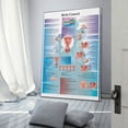 Anatomical Poster Birth Control Posters Artworks Canvas Poster Room ...