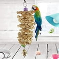 3PCS Bird Cuttlebone Cuttlefish Bones with Bell Beak Stone Parrot Beak ...