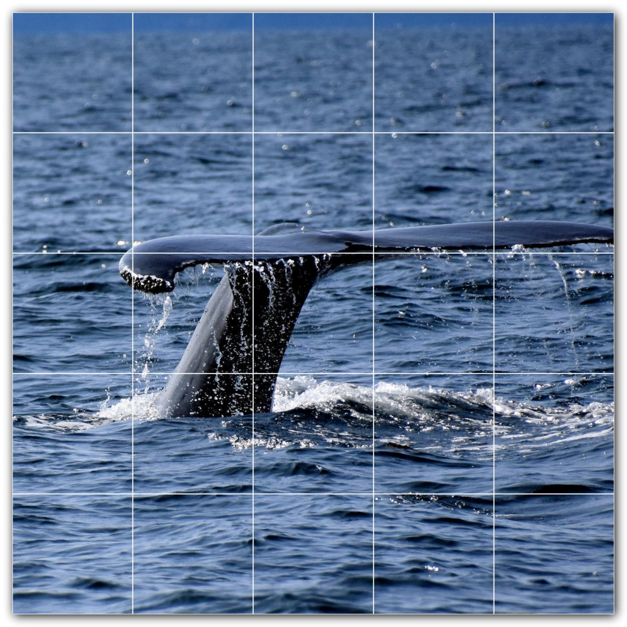 Picture-Tiles.com: Whale Ceramic Tile Wall Mural WAL501196-55XL. 60"W x ...