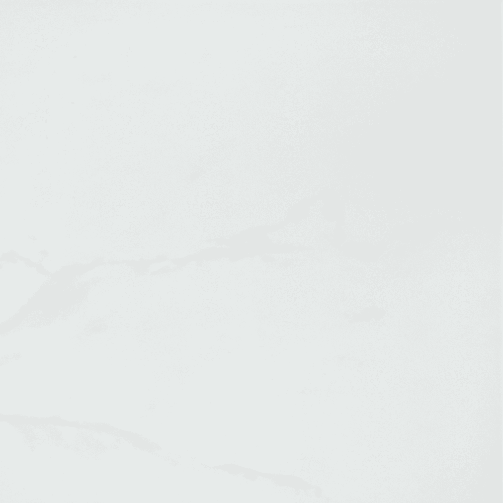 The Tile Life Providence 4x4 White Matte Porcelain Marble Look Wall and ...