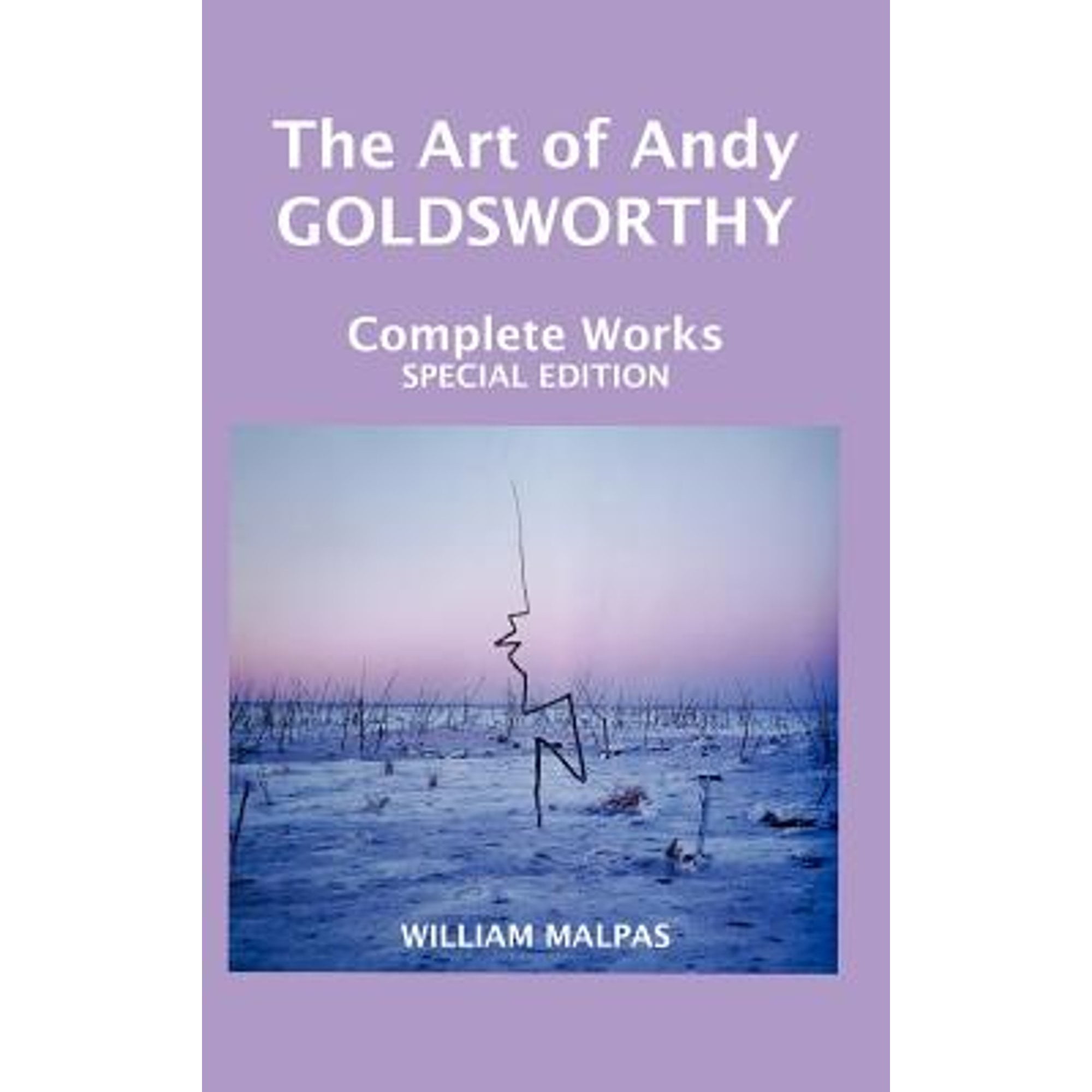 Pre-Owned The Art of Andy Goldsworthy: Complete Works (Hardcover ...