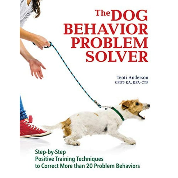 How Do You Fix Dog Behavior Problems
