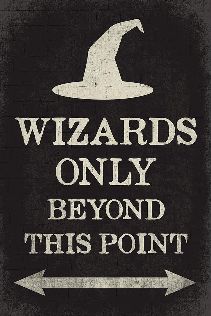 Wizards Only Beyond This Point, Poster Print Cool Wall Decor Art Print ...