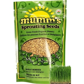Mumm's Sprouting Seeds | Walmart Canada