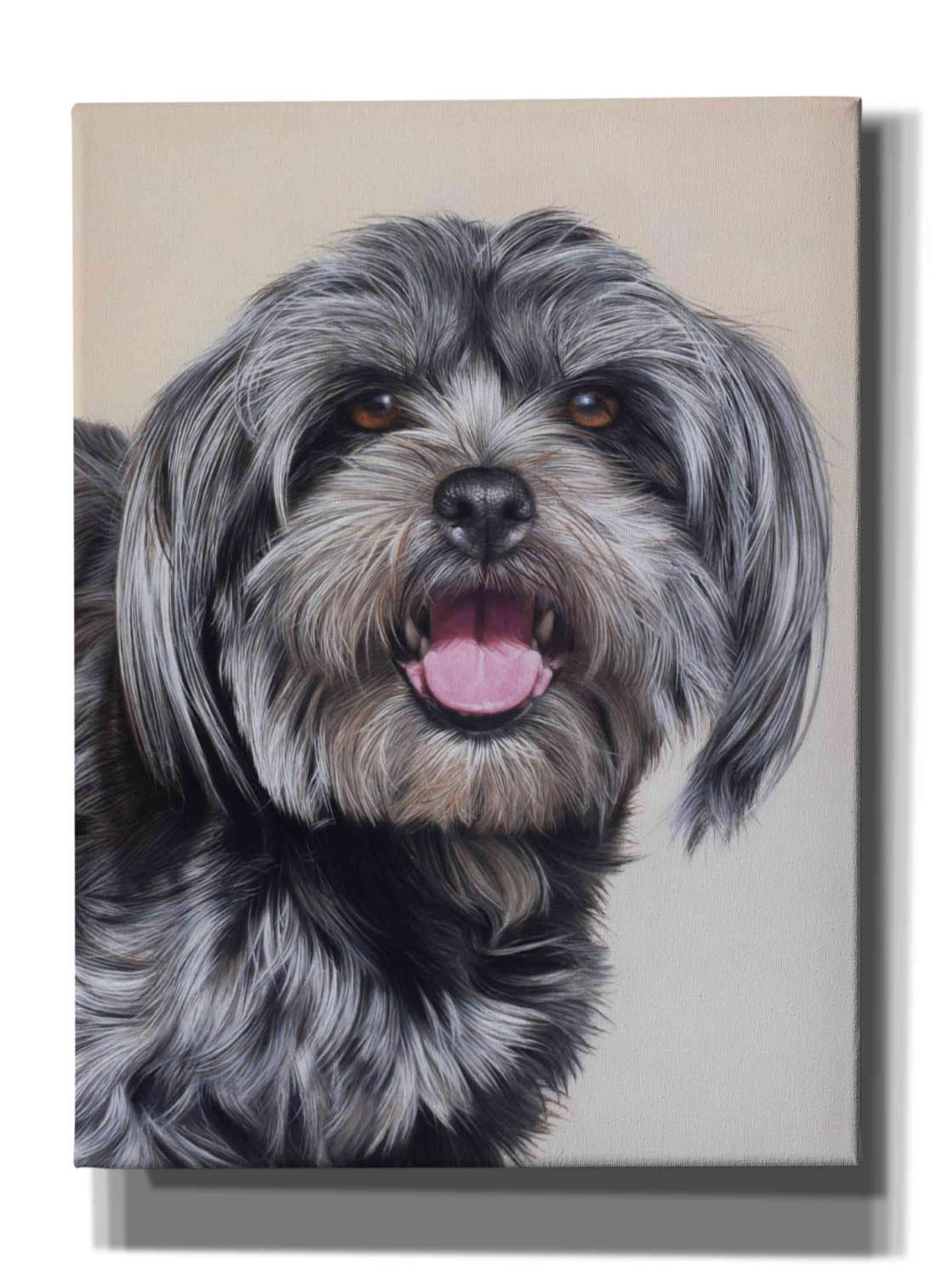 Epic Graffiti 'Molly' by Sam Dolman, Canvas Wall Art, 40"x54" - Walmart.com