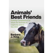 Why Animals Matter: Animal Consciousness, Animal Welfare, and Human ...