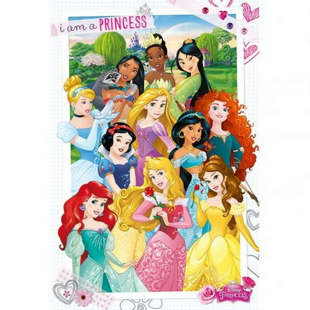 Disney Princess Poster - Walmart.ca