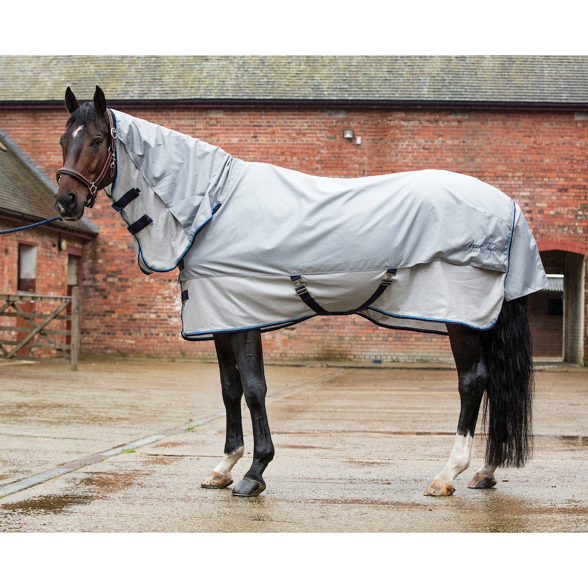 Mark Todd Waterproof Combo Fly Rug | Walmart Canada