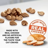 Meow Mix Irresistibles Cat Treats - Soft With White Meat Chicken, 17 ...